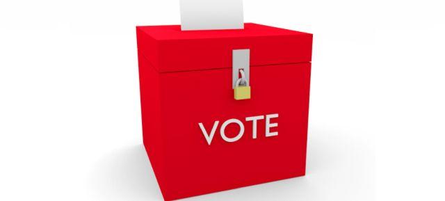 City Hall To Consider Vote-By-Mail - THE BULLDOG